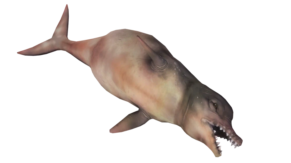 Dolphin | Fallout dnd Wiki | Fandom