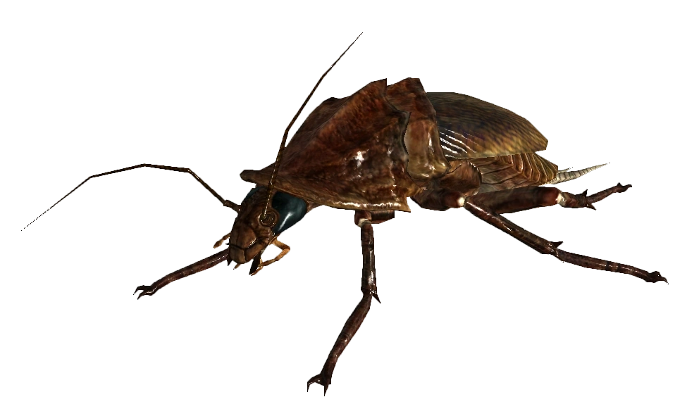Roach | Fallout dnd Wiki | Fandom