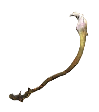 Snaptail reed | Fallout dnd Wiki | Fandom