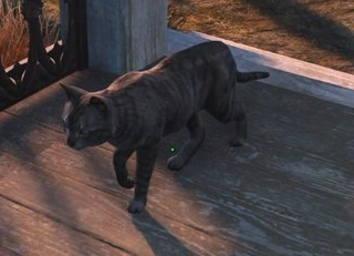 Mr Tiddles | Fallout Gravel Pit Wikia | Fandom