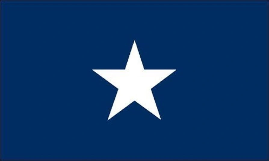 Confederal Texas | Fallout Gravel Pit Wikia | Fandom
