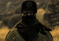 Chicago Enclave 2296 Presidential Election | Fallout Gravel Pit Wikia ...