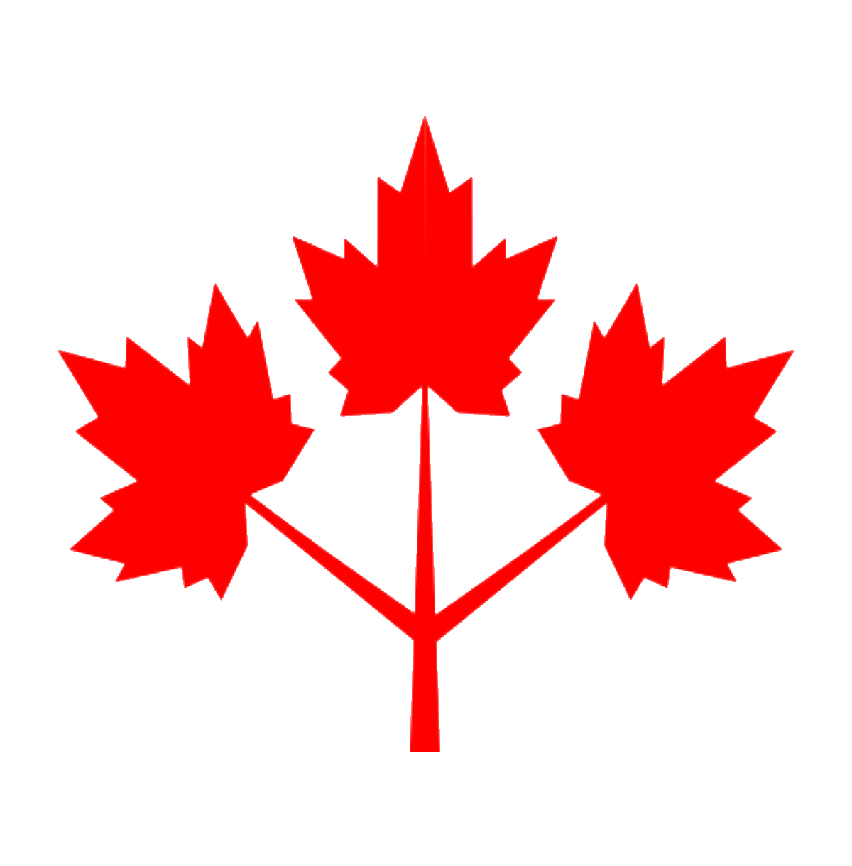 Canadian Resistance | Fallout Gravel Pit Wikia | Fandom