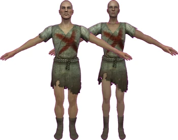 Slave Clothes | Fallout Incursion CGC Wiki | Fandom