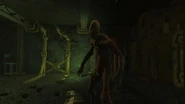 Feral Ghouls | Fallout Myths Wiki | Fandom