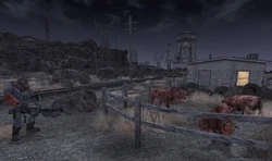 Novac Chupacabra | Fallout Myths Wiki | Fandom