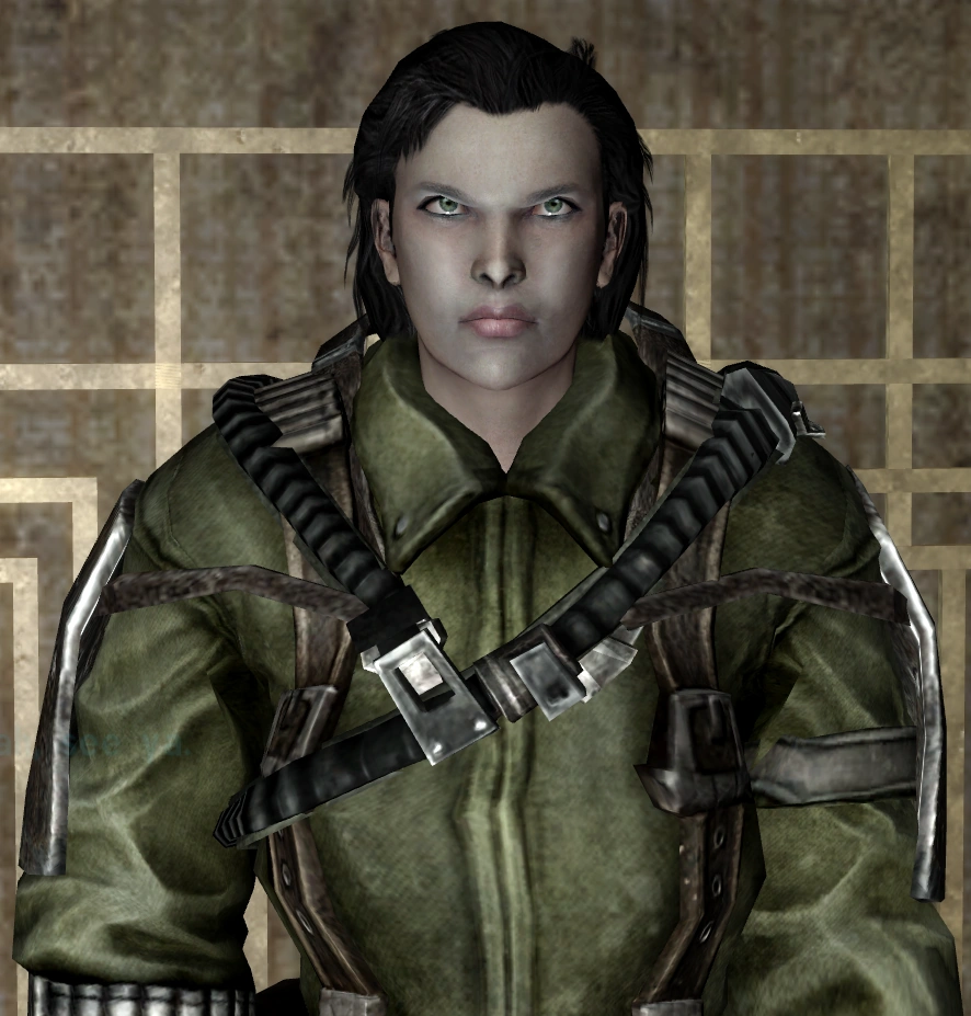 Temperance | Fallout: The Frontier Wiki | Fandom