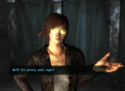 America | Fallout: The Frontier Wiki | Fandom