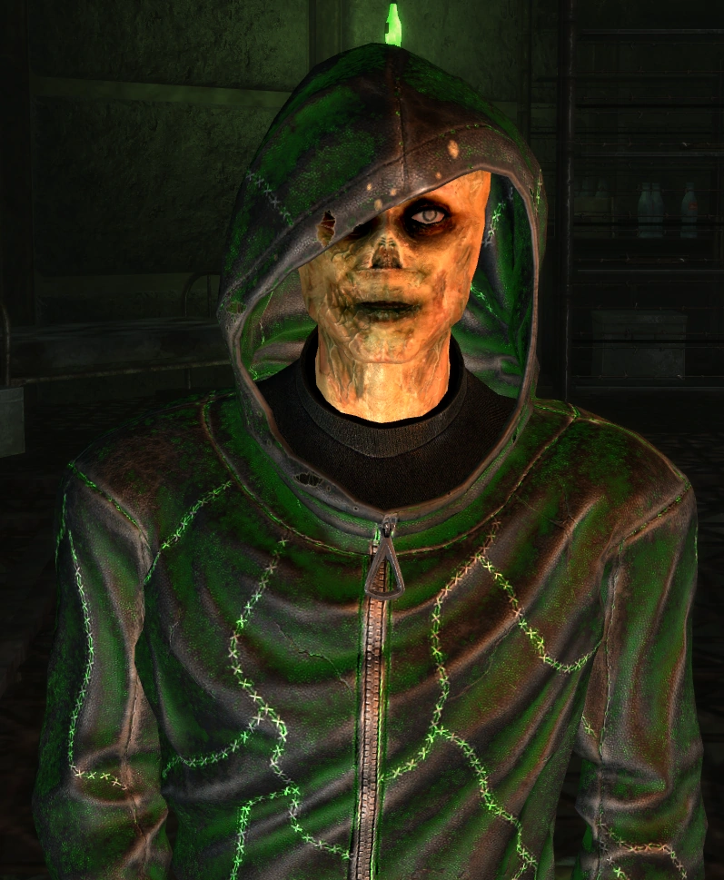 Eternal Life Priest | Fallout: The Frontier Wiki | Fandom