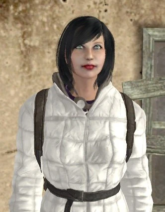 The Sins of Yesterday | Fallout: The Frontier Wiki | Fandom
