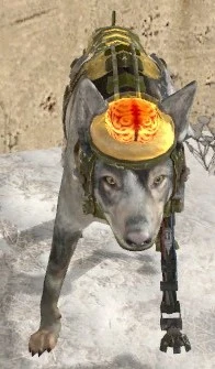 Bolt | Fallout: The Frontier Wiki | Fandom