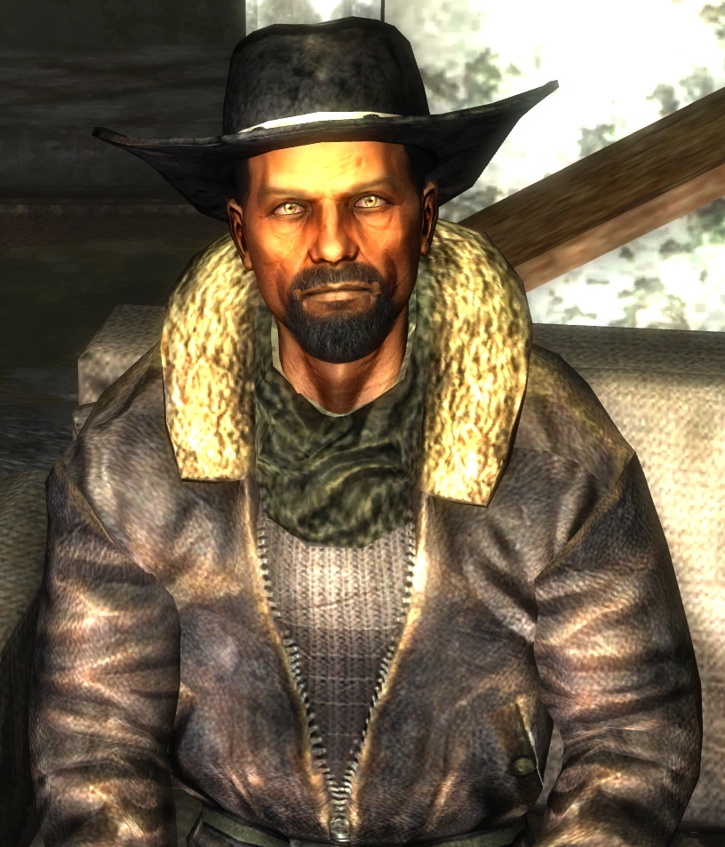 Wyatt Ringer | Fallout: The Frontier Wiki | Fandom