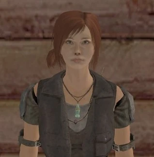 God Bless America | Fallout: The Frontier Wiki | Fandom