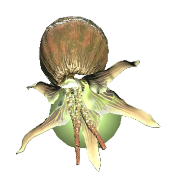 Strangler bloom | Fallout Wiki | Fandom