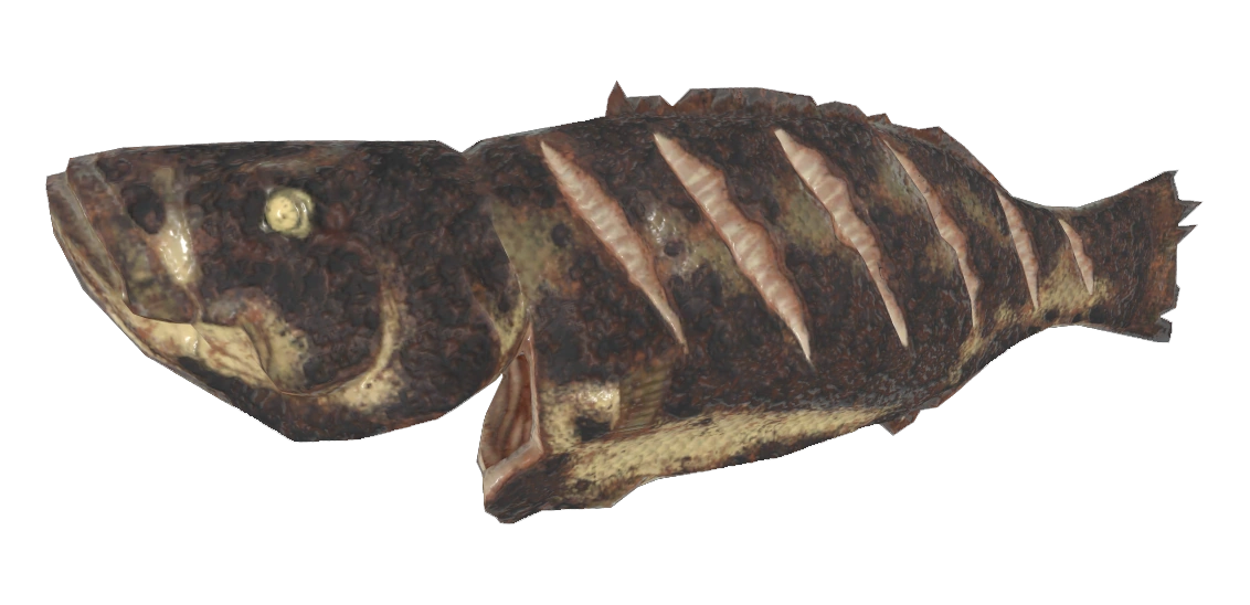 Grilled fish | Fallout Wiki | Fandom