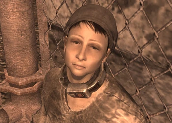 Weathers (Fallout: New Vegas) | Fallout Wiki | Fandom