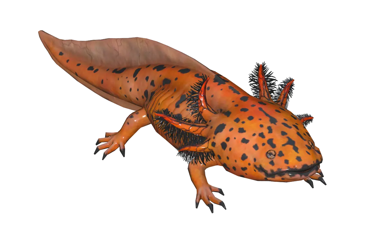 Spotted axolotl | Fallout Wiki | Fandom