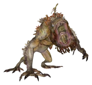 Angler | Fallout Wiki | Fandom