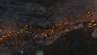 Blight (Far Harbor) | Fallout Wiki | Fandom