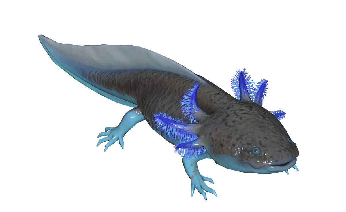 Stone axolotl | Fallout Wiki | Fandom