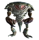 Mirelurk | Fallout Wiki | Fandom