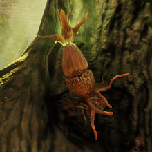 Strangler bloom | Fallout Wiki | Fandom