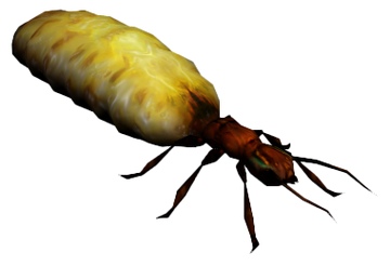 Giant Queen Red Ant