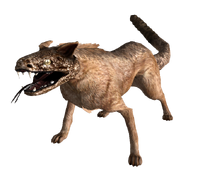 Night stalker | Fallout Wiki | Fandom