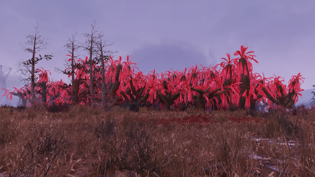 Overgrown sundew grove | Fallout Wiki | Fandom
