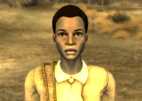 Traveler | Fallout Wiki | Fandom