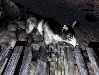 Rex (Fallout 3) | Fallout Wiki | Fandom