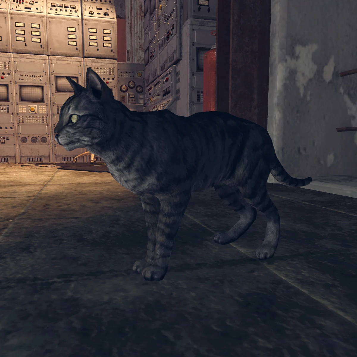 Manny (cat) | Fallout Wiki | Fandom