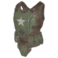 Combat armor (Fallout 76) | Fallout Wiki | Fandom
