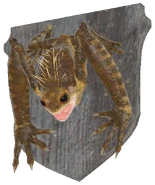 Frog | Fallout Wiki | Fandom