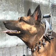 Reinforced dog collar | Fallout Wiki | Fandom