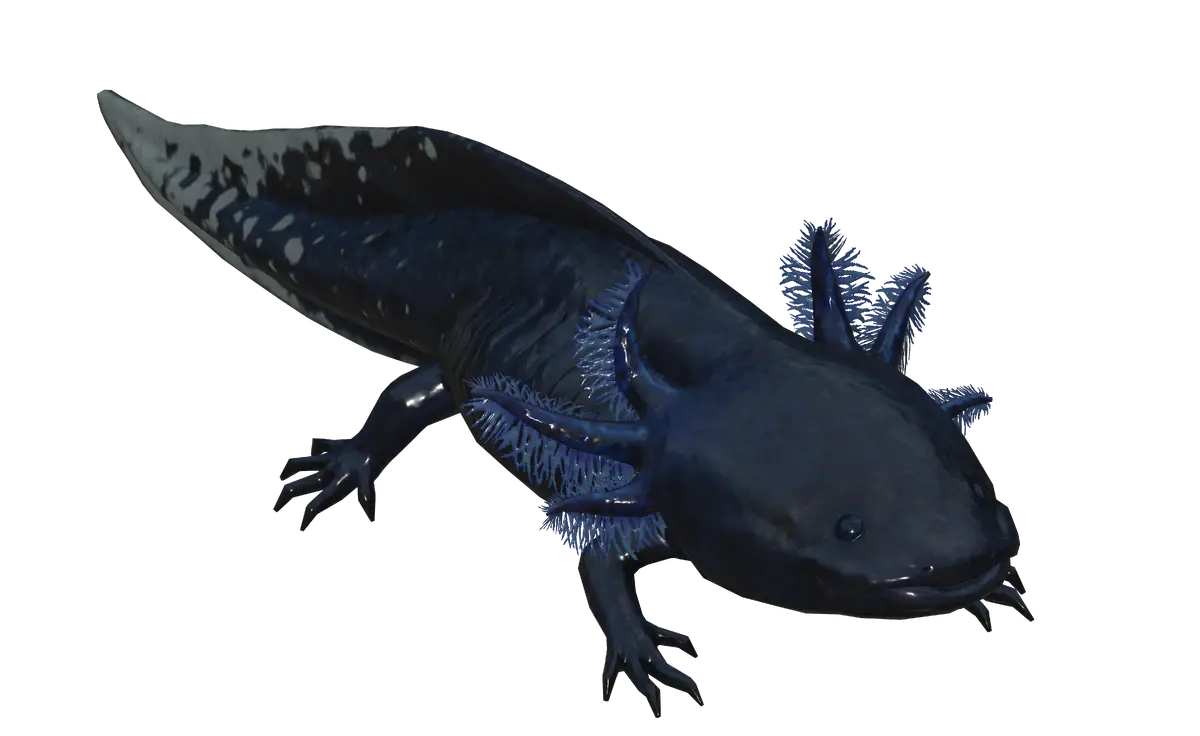 Charcoal axolotl | Fallout Wiki | Fandom