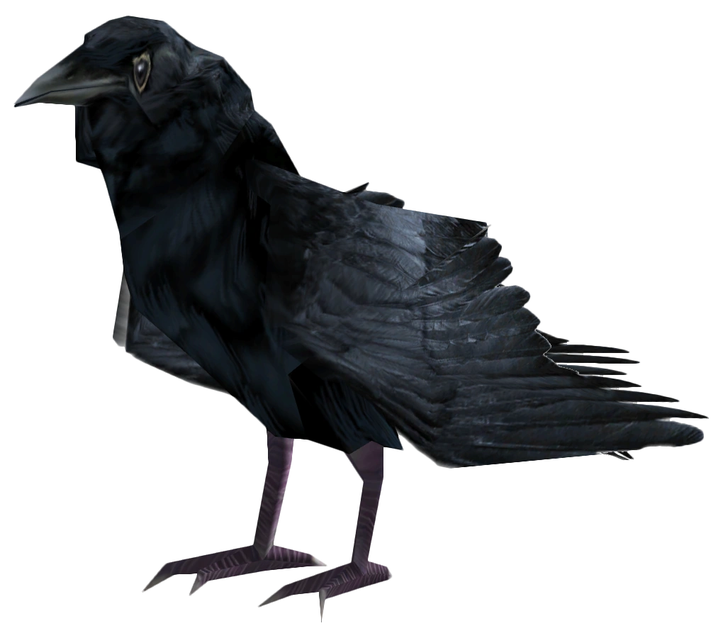 Kruk | Krypta | Fandom