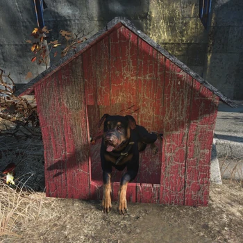 Junkyard dog | Fallout Wiki | Fandom