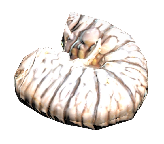 Raw fog crawler meat (Fallout 76) | Fallout Wiki | Fandom