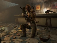 Chancer | Fallout Wiki | Fandom