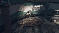 Aquarium of the Atlantic | Fallout Wiki | Fandom
