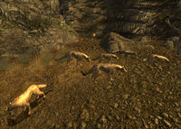 Night stalker | Fallout Wiki | Fandom