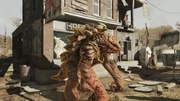 Ogua | Fallout Wiki | Fandom