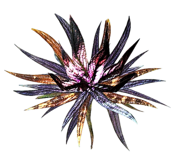 Thistle (Fallout 76) | Fallout Wiki | Fandom