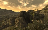 Broc flower (Fallout: New Vegas) | Fallout Wiki | Fandom