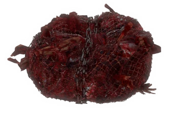 Meat bag (Fallout 4) | Fallout Wiki | Fandom