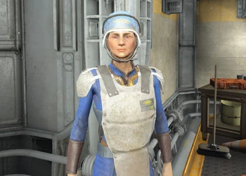 Vault security | Fallout Wiki | Fandom