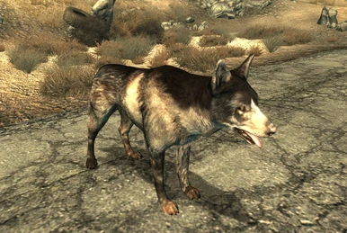 stimpak dog meat fallout 4 coloring pages