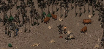 Rustle the brahmin | Fallout Wiki | Fandom