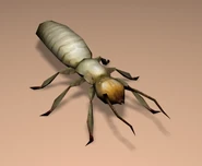Giant albino ant | Fallout Wiki | Fandom